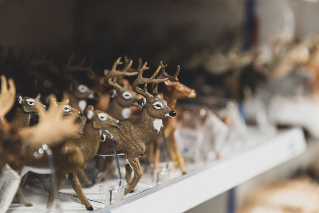 Forest’shop - Forestia