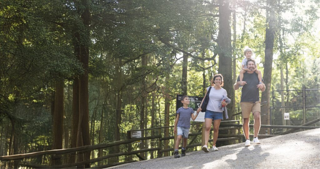 Bons cadeaux - Forestia